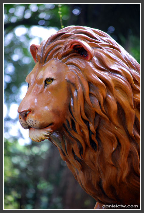 Mammals Of The Zoo | Daniel Chew The Wanderer