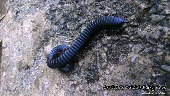 10 Things To Do In Kuching | Daniel Chew The Wanderer